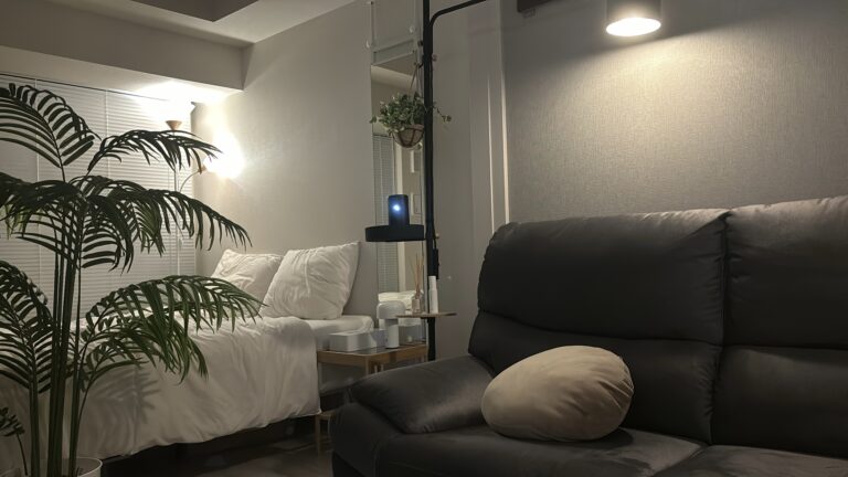 一人暮らし1DKインテリア｜おしゃれで便利なレイアウト＆収納アイデア集 | そらひまと20代の暮らし